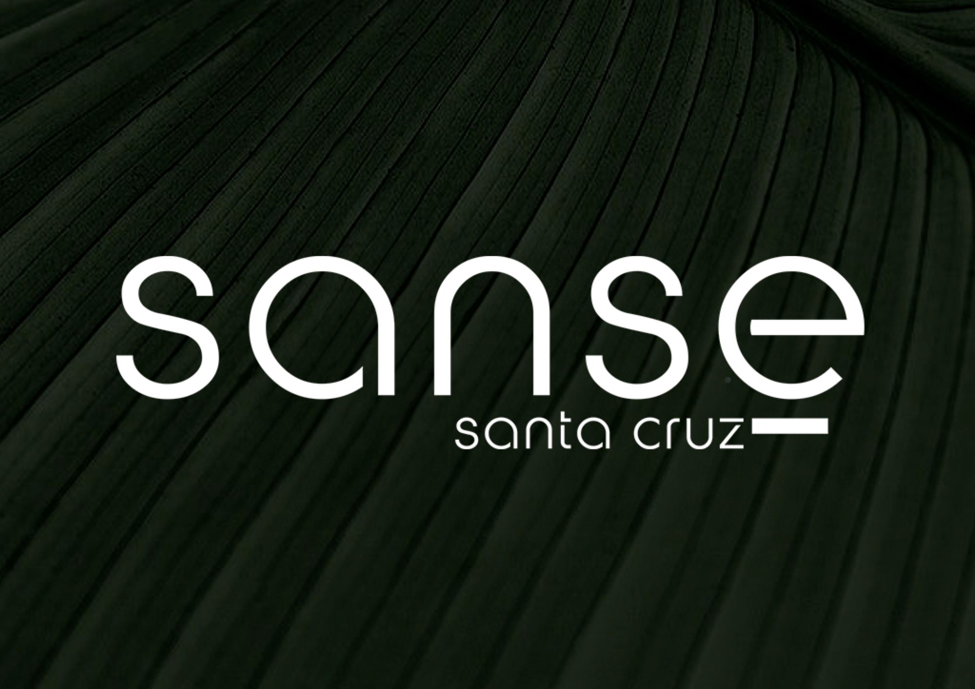 SANSE SANTA CRUZ - Grupo Stange
